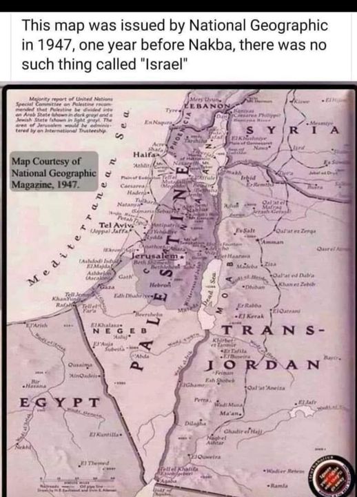Historic Palestine Map (Before the Al-Nakba) – Wisconsin Bail Out the ...